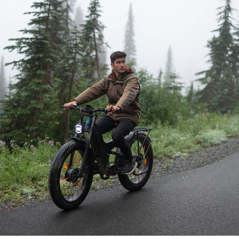 Warrior Pro M-530 Dual Motor by FREESKY CYCLE – Alien E-bikes & Scooters